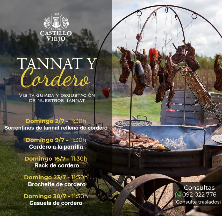 INAVI - Instituto Nacional de Vitivinicultura - Vinos del Uruguay