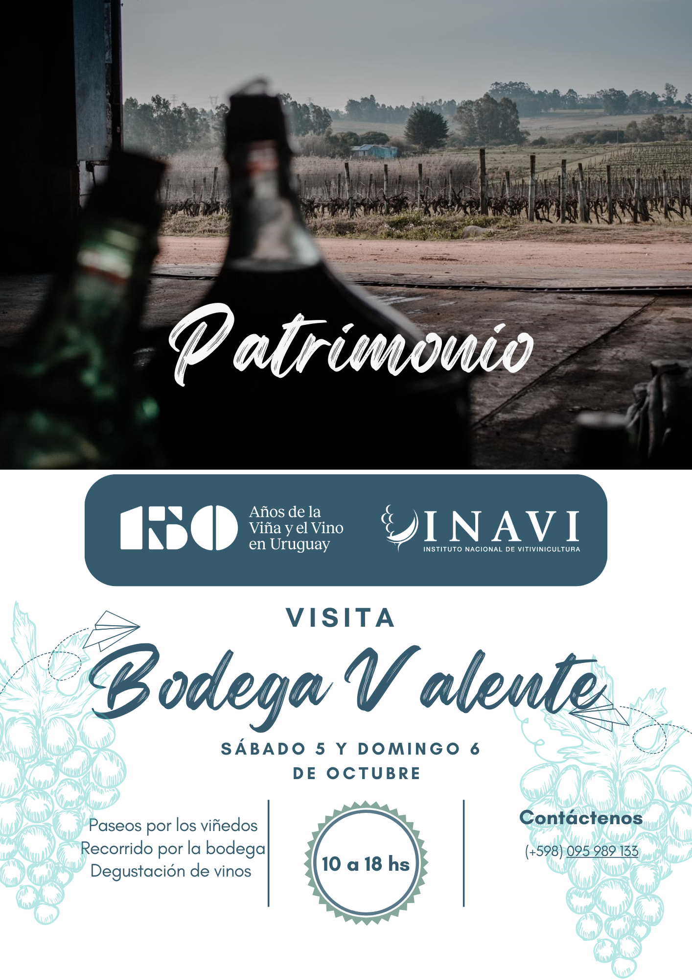 INAVI - Instituto Nacional de Vitivinicultura - Vinos del Uruguay